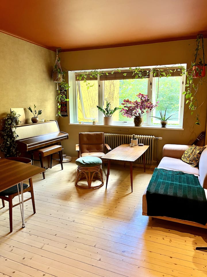 Koselig Leilighet På Kampen - Oslo