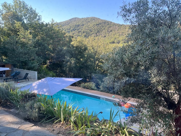 En Forêt, Cadre Exceptionnel,piscine. - Collobrières