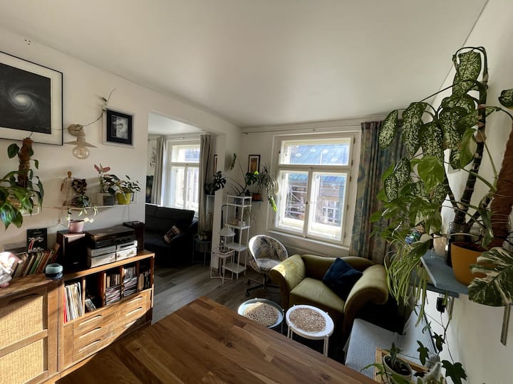 Cozy & Quiet Oasis In City Center - Prag