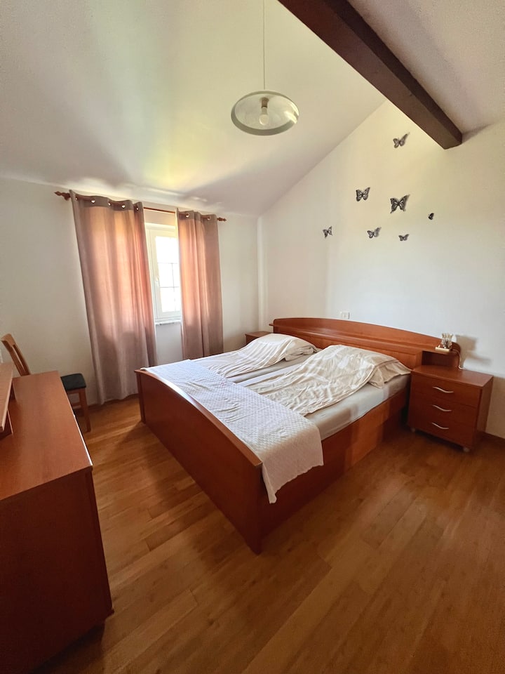 New Big Apartma Metulj 2025 - Koper