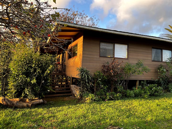 Vive Rapa Nui: Cabaña, Y Traslado Aeropuerto - Easter Island