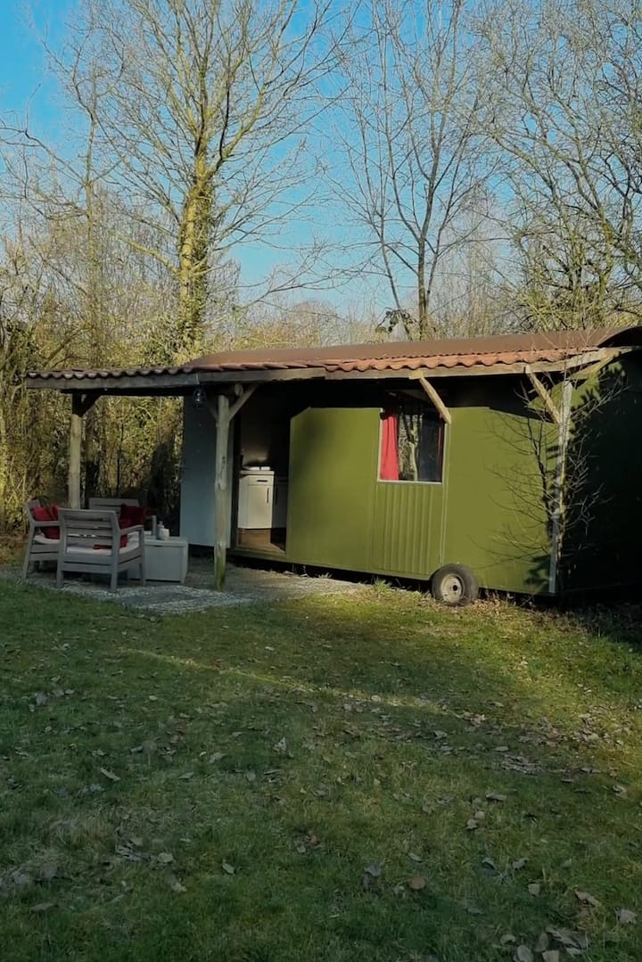 Pipo Wagen: Op Ont Moeten - Eibergen