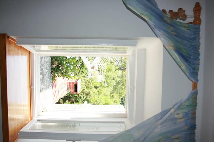 Rooms Ziza In Center Of Town - Curzola