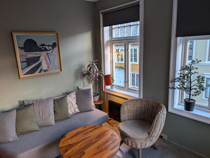Mini-suite Super-sentralt - Trondheim