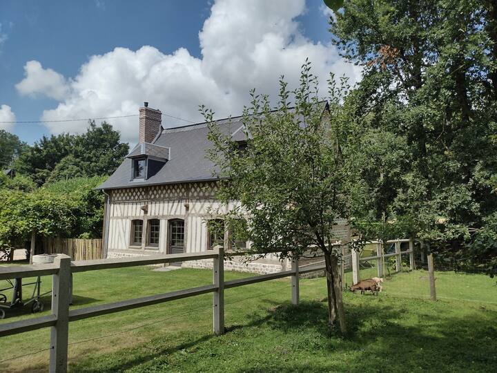 La Petite Maison Normande - Yvetot