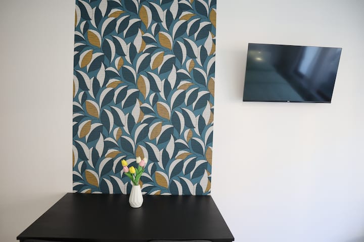 Lune | Neuf | Gare | Centre | Netflix - Annecy-le-Vieux