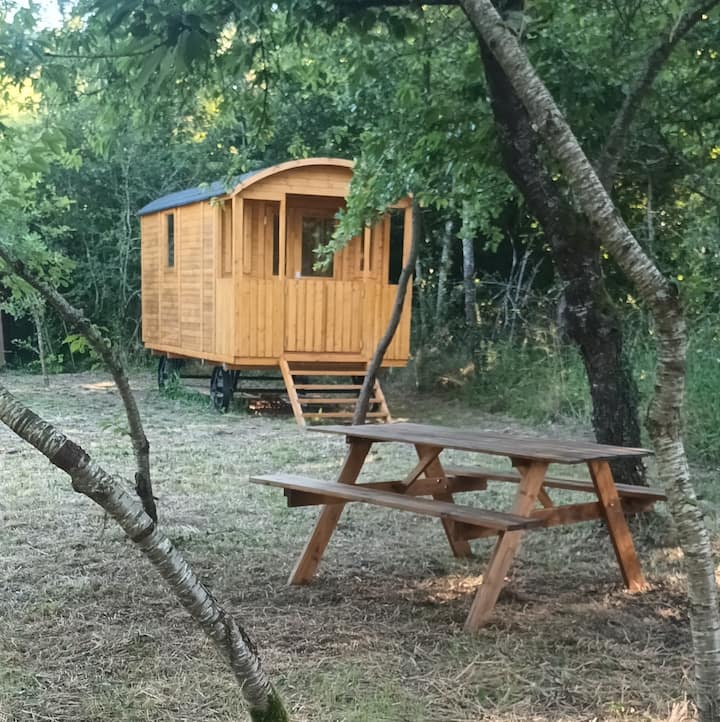 Hébergement Insolite Roulotte Au Milieu Des âNes - Deux-Sèvres
