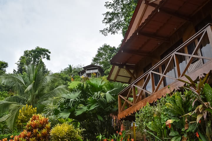 Complete Villa. For 54 Guests. - Puerto Viejo de Talamanca