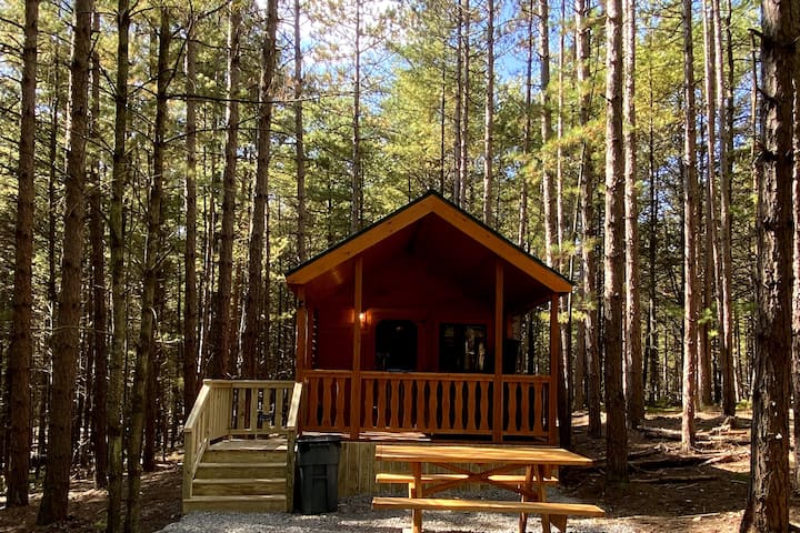 Happy Bear Log Cabin - Clear Creek State Park, Sigel