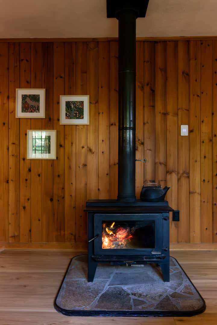 Cozy + Wood Stove + Wineries + Dog Friendly - Fennville, MI