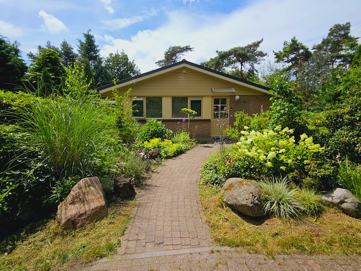 Rhodo Lodge - Netherlands