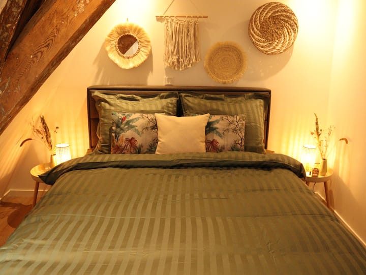Coolest Apartments In Haarlem City - 2nd Floor - ハールレム