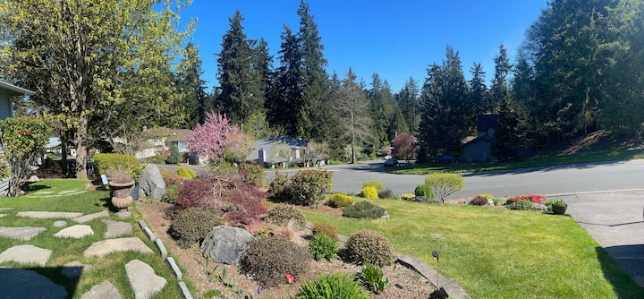 Room With Splendid Giant Fir Trees View - Mukilteo, WA