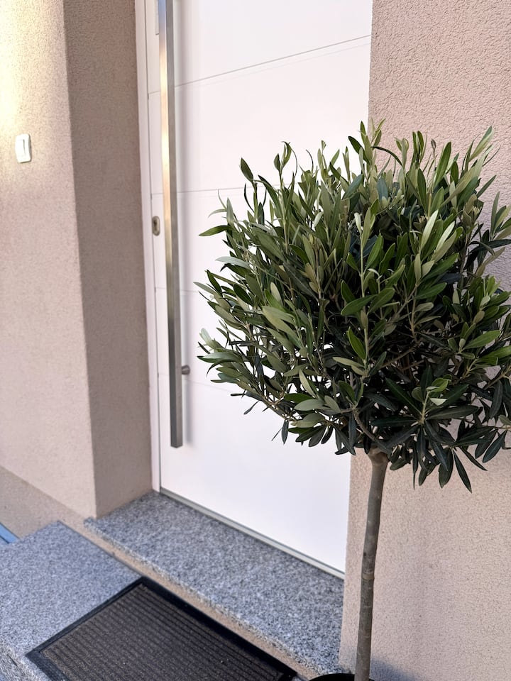 Apartment "Sani" - Zagreb