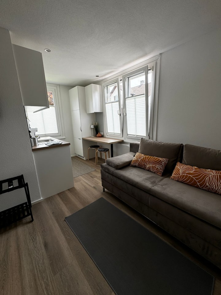 Rheinblick Ferienwohnung - Lustenau