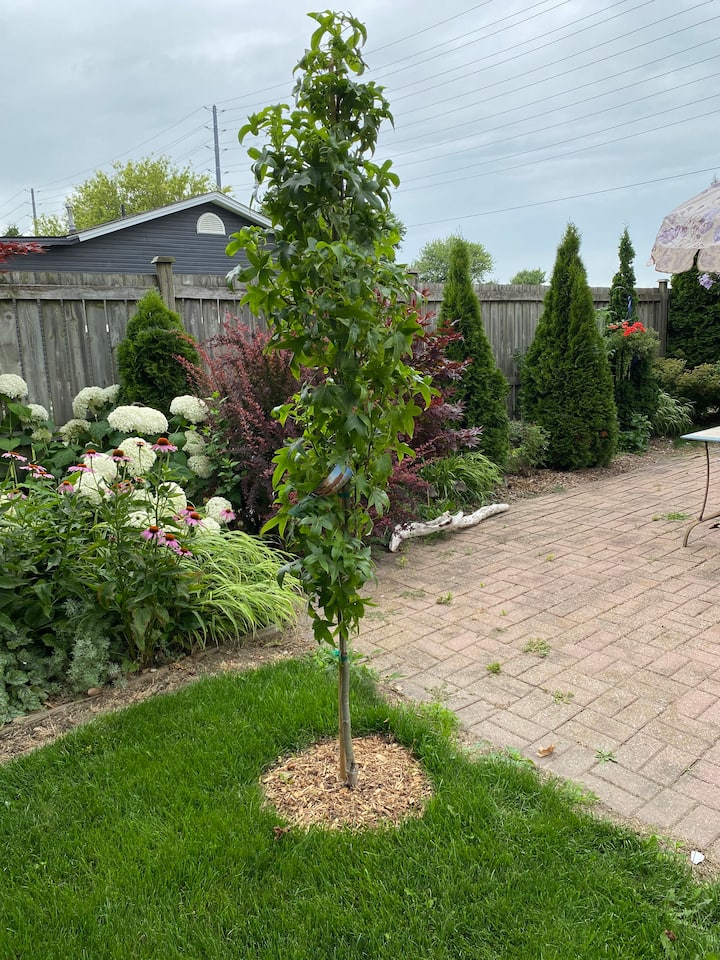 All Business - Leamington