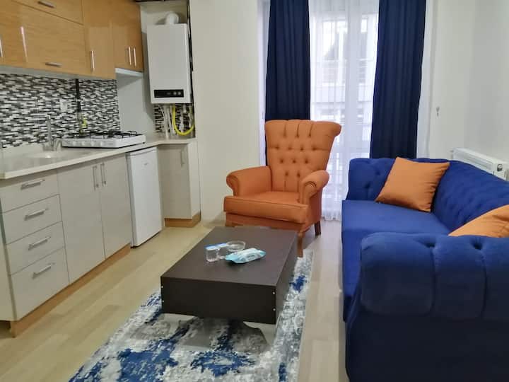 ŞEhir Merkezinde şIrin Eviniz - Bolu