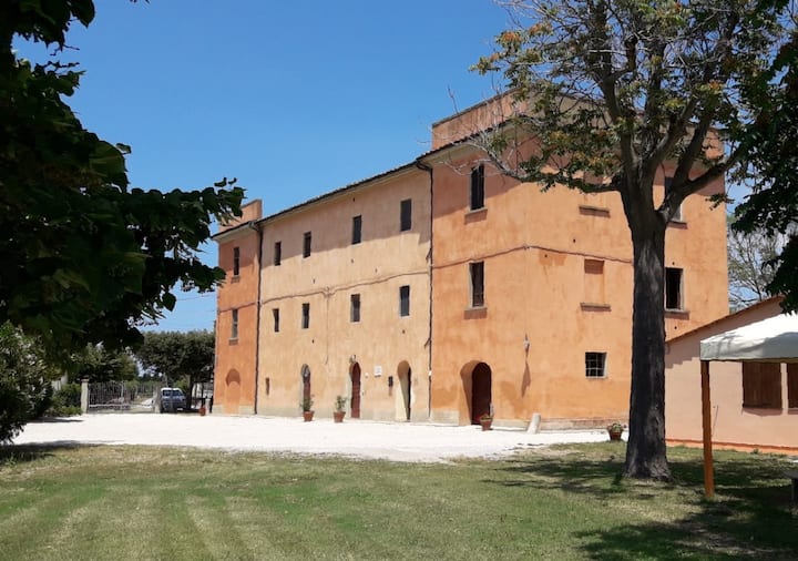 Casale Il Pescinone - Girasole - Piombino