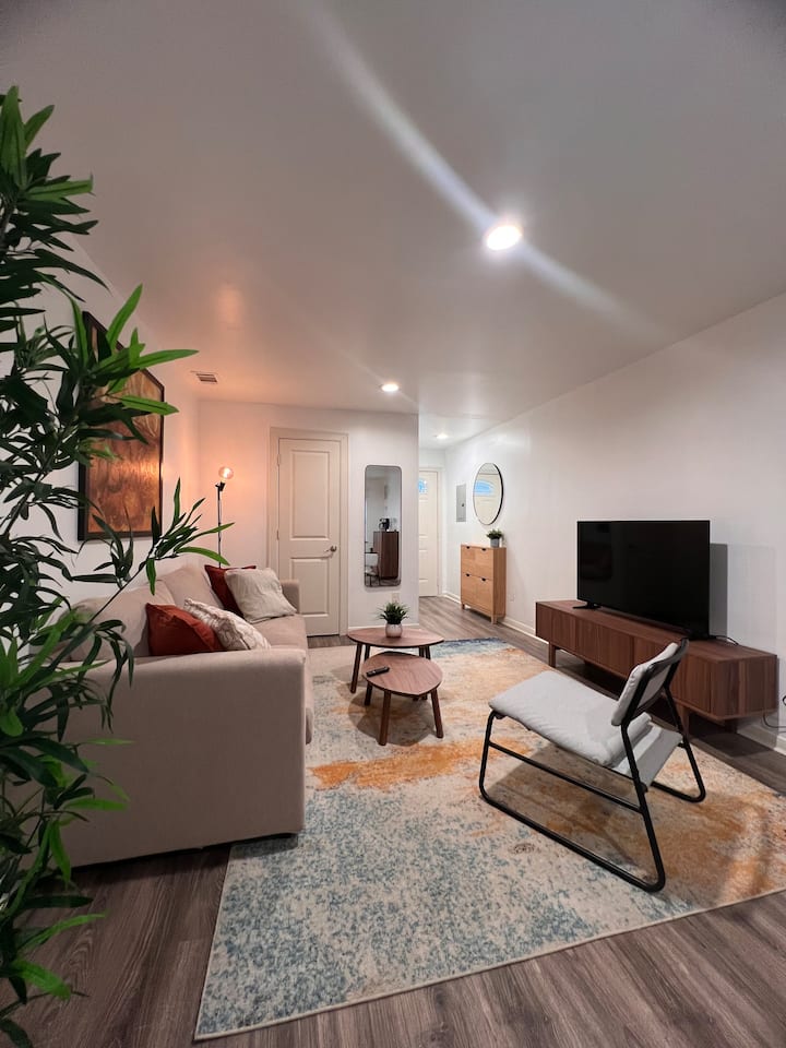 Cozy 1bd Apartment (4pl) - Westbury - Houston