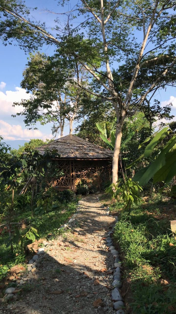 Finca La Colpia - San Ignacio