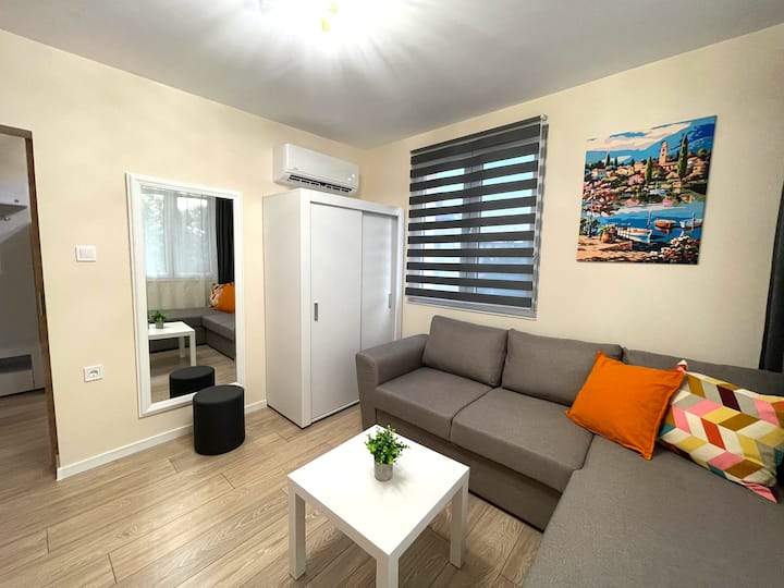 Hills' Dove - Plovdiv