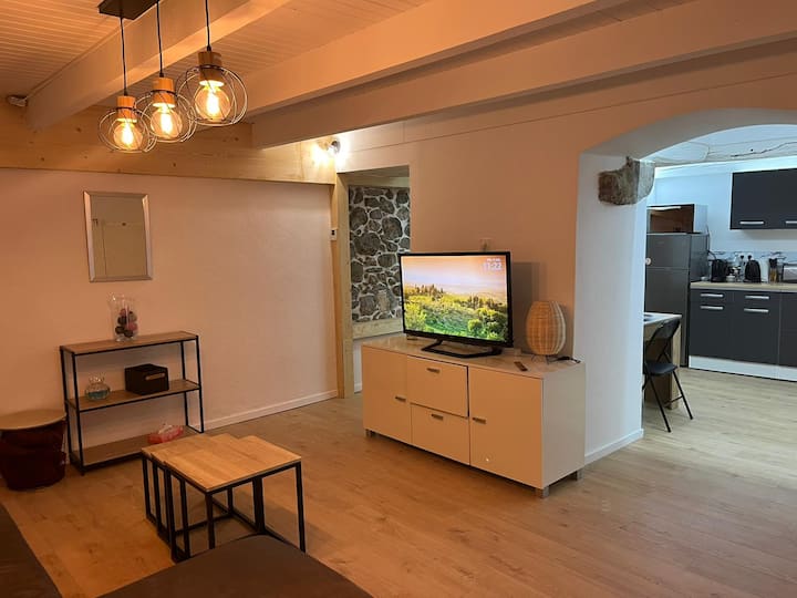 Appartement Indépendant - La Roche-sur-Foron