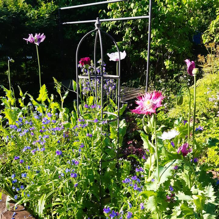 Huone Villa Vanamossa - Varkaus