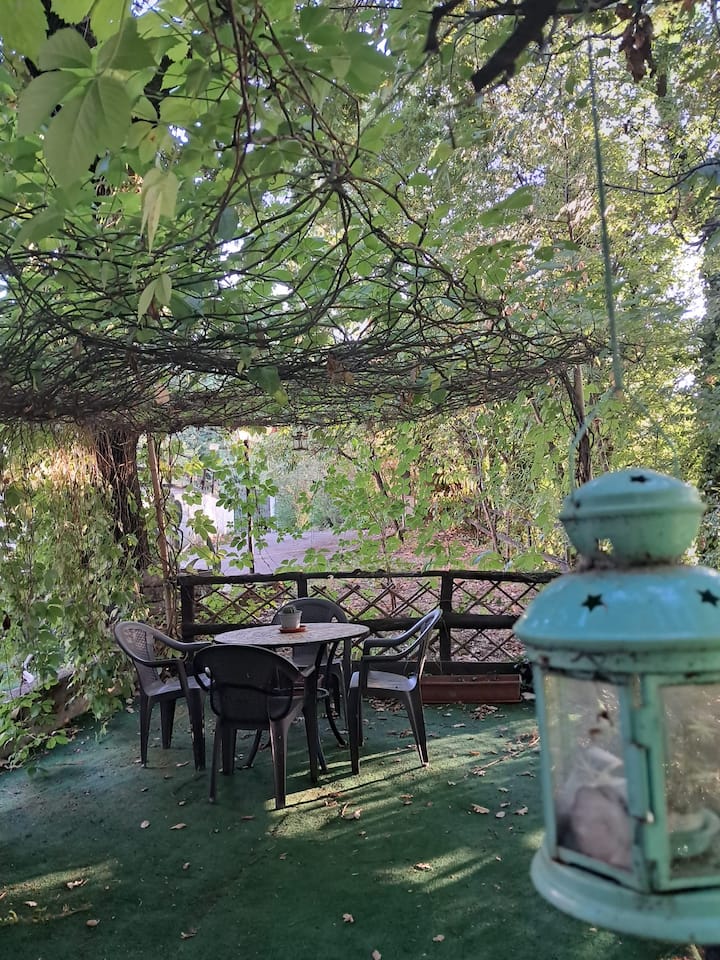 Soggiorna In Un Bosco Urbano! - Frosinone