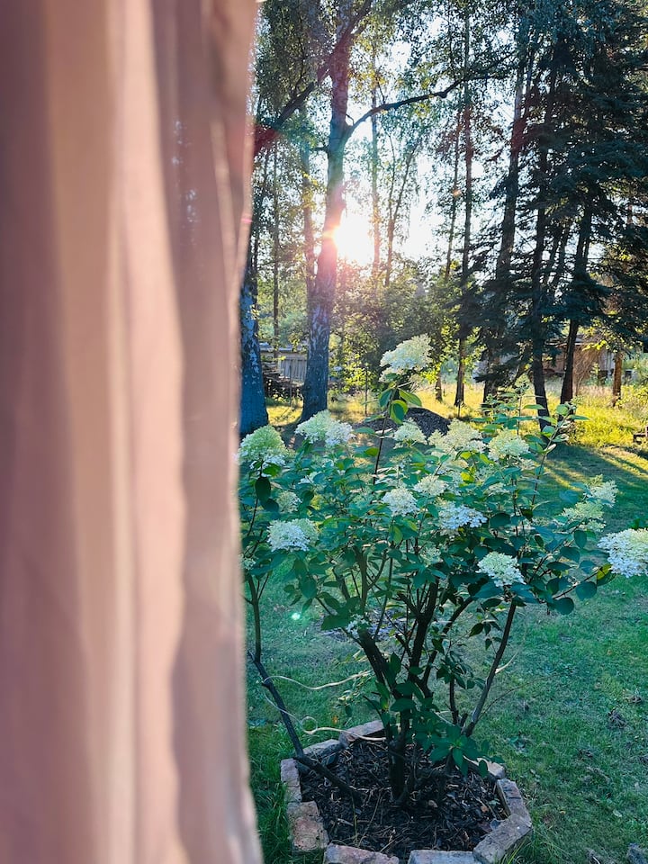 Cosy Tiny House With Beautiful Garden - Dresden