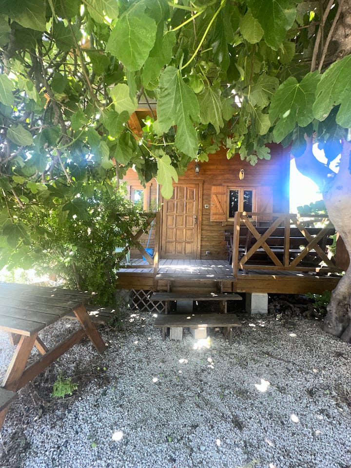 Chalet Rec De Rieu «Figuier» - Marseillan