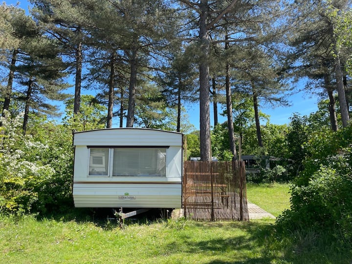Great Summer House Near Beach - Wijk aan Zee