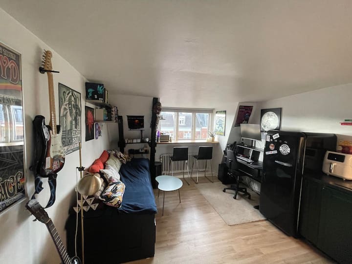 Lejlighed Ved Nørrebros Runddel - Copenhague