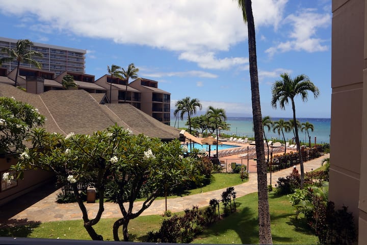 Oceanview Retreat - Kaanapali - Kaanapali, HI