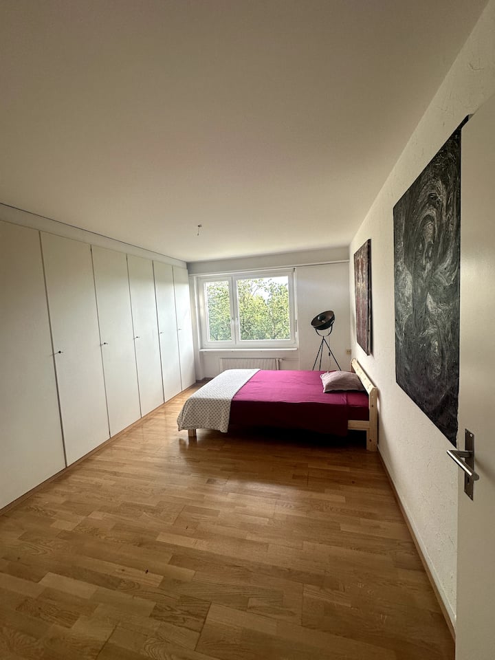 Serene And Peaceful Room In Zh - Zurich
