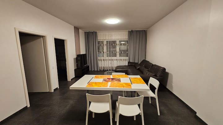 Großes Apartment In Der Stadtmitte - Bad Wildbad