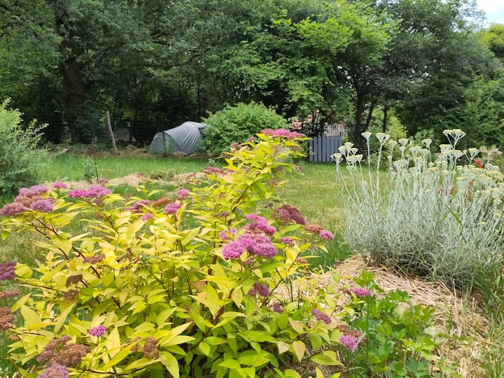 Camping Familial - Bessines-sur-Gartempe