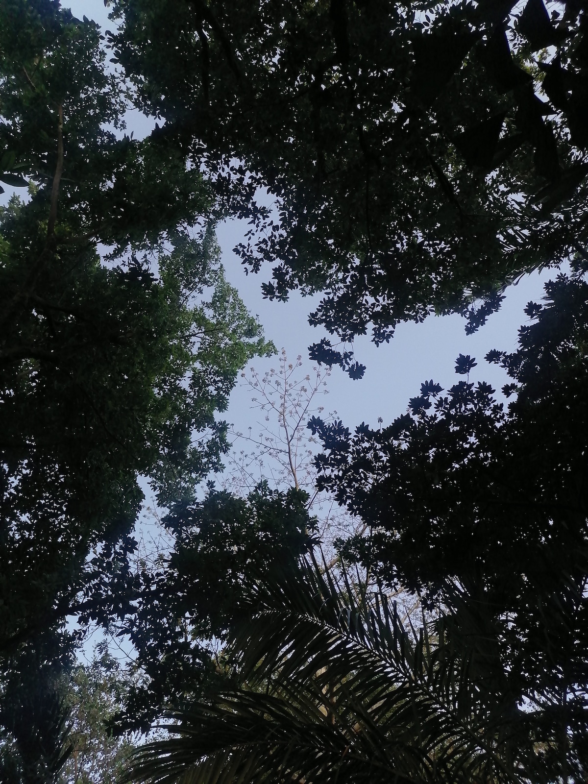 Ule Kulturhaus, Residenz - Häuser zur Miete in Merida, Yucatán, Mexiko ...