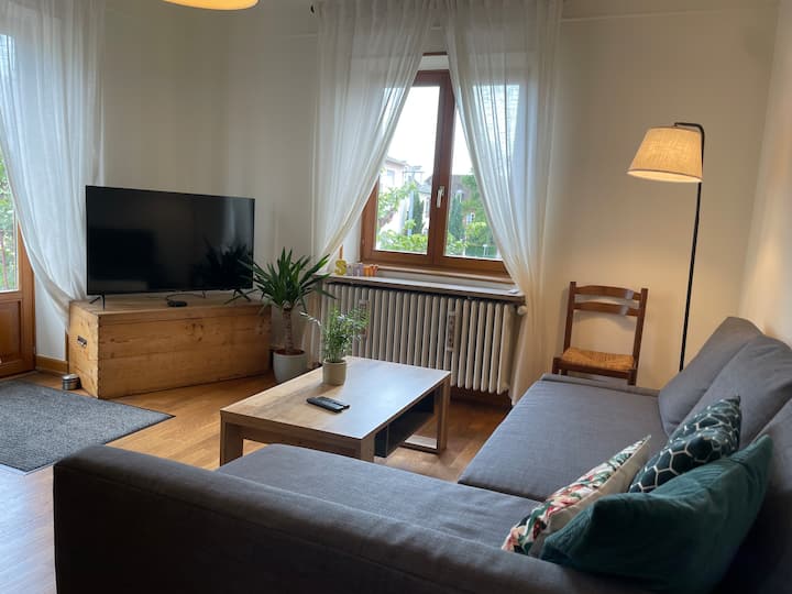 Spacieux Appartement, Balcon Et Parking Privé ! - 콜마르