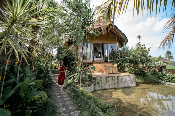 Harmonious Rice Fields View Villa - Bali