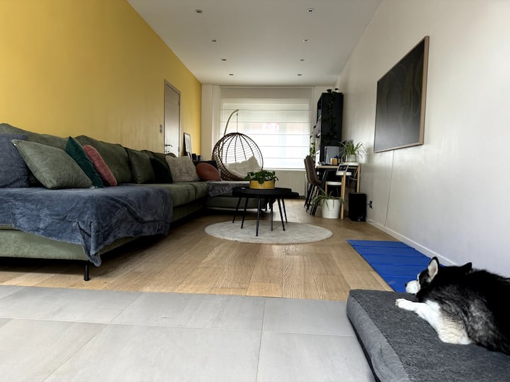 Een Straat Weg Van Tml - Boom