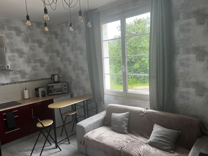 Lairbnb Studio Proche Stade Aja - Auxerre