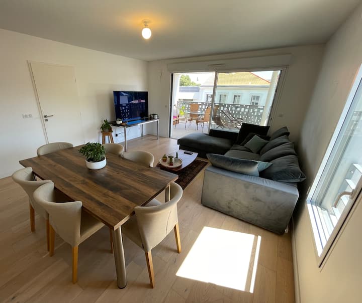 Grand Appartement Climatisé Avec Terrasse, Parking - Montpellier
