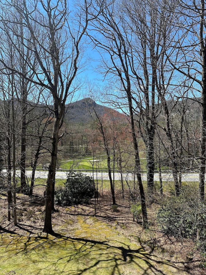 The  Bond "0" Condo - Cashiers, NC