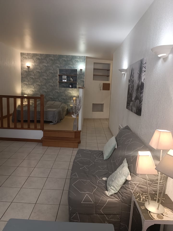 Grand Studio Meublé Chez Coco - Romans-sur-Isère