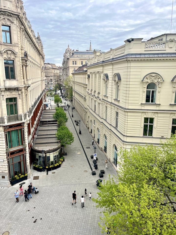 Central Chic Pedestrian View - Budapest