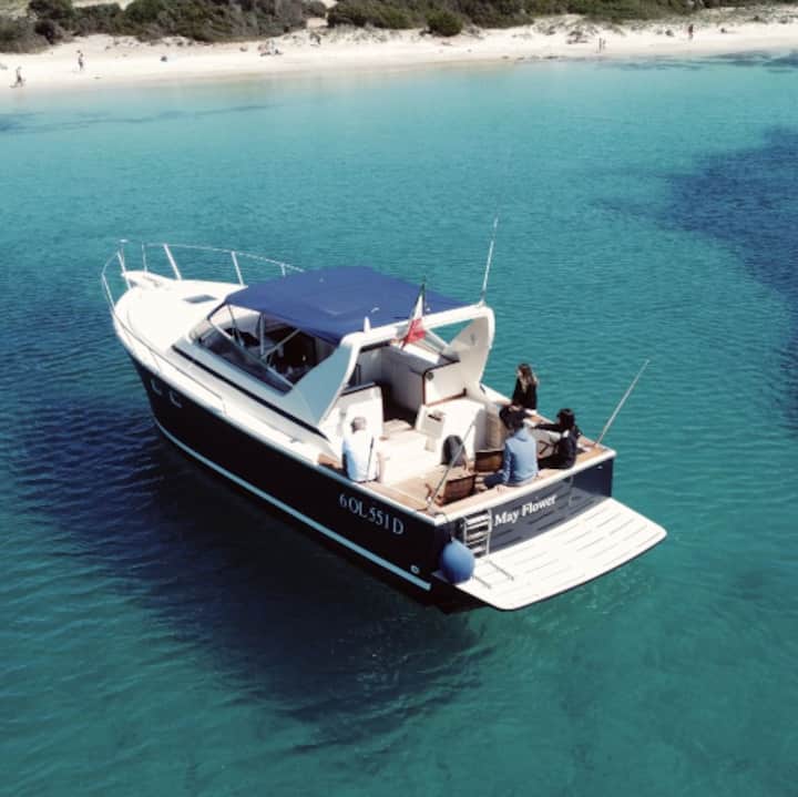 Mayflower - Golfo Aranci