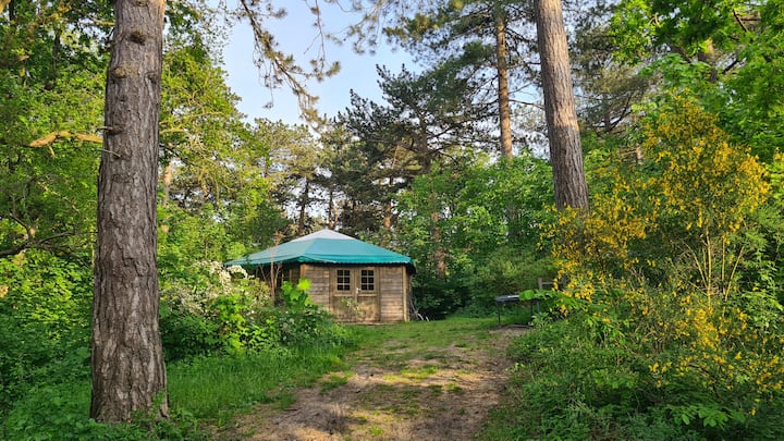 Kampeerbungalow Op Bakkum - Castricum