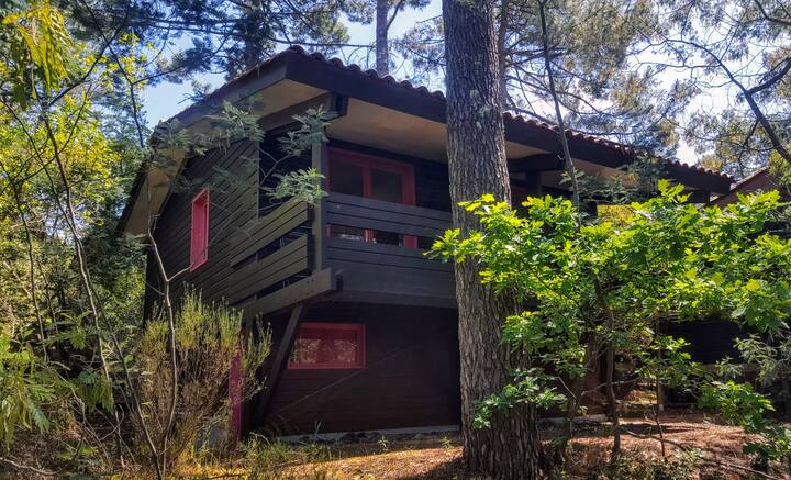 Chalet Et Piscine Entre Océan & Lac - Maubuisson
