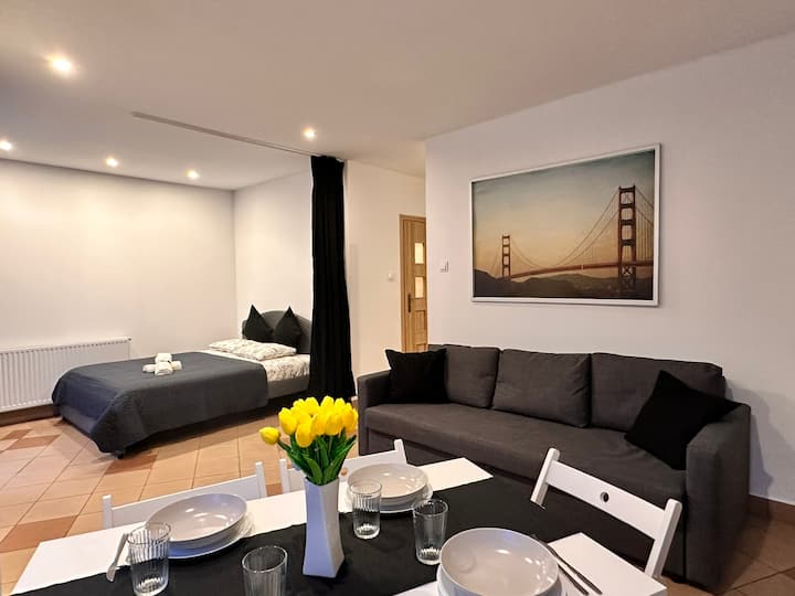 R_k31_01 Fiesta Time Apartment 5 Beds - Katowice