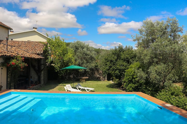 Apartamento Standard T2 - Castro Daire